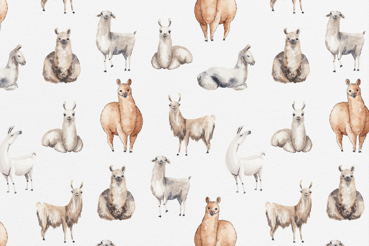 Watercolor Llamas + 2 Patterns, an Animal Illustration by Petite Salade