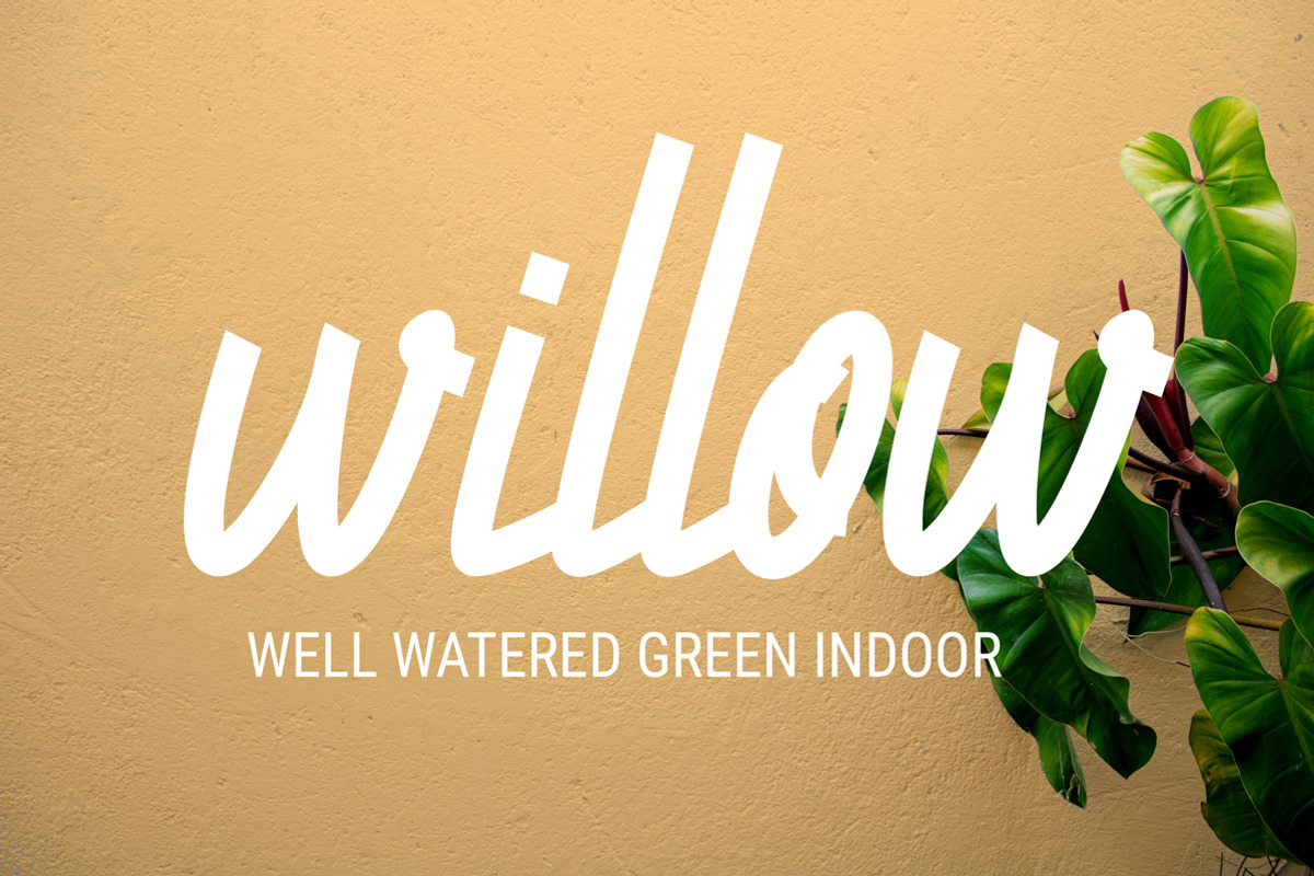 Elsie And Edward Line Script, a Script Font by Fontcastle