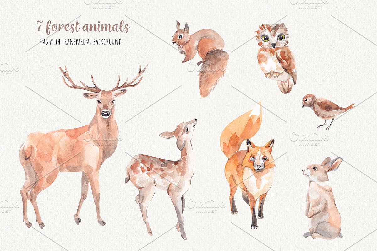 Forest animals. Watercolor clipart, an Animal Illustration by VerAna