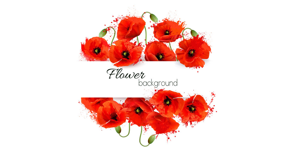 Red Poppies Flower greeting card, an Illustration by ecco | Creative Market