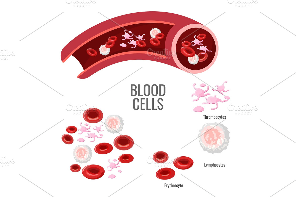 Blood cells exploration scientific poster with microscopic bodies, an ...