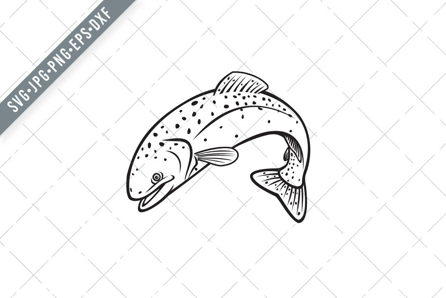 Steelhead or Rainbow Trout SVG, an Illustration by patrimonio