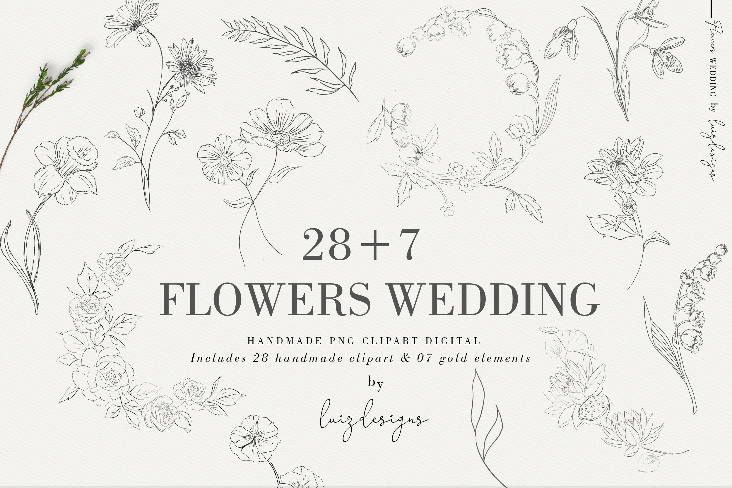 Flowers Wedding, an Illustration by Luiz da Rolt Grathwohl