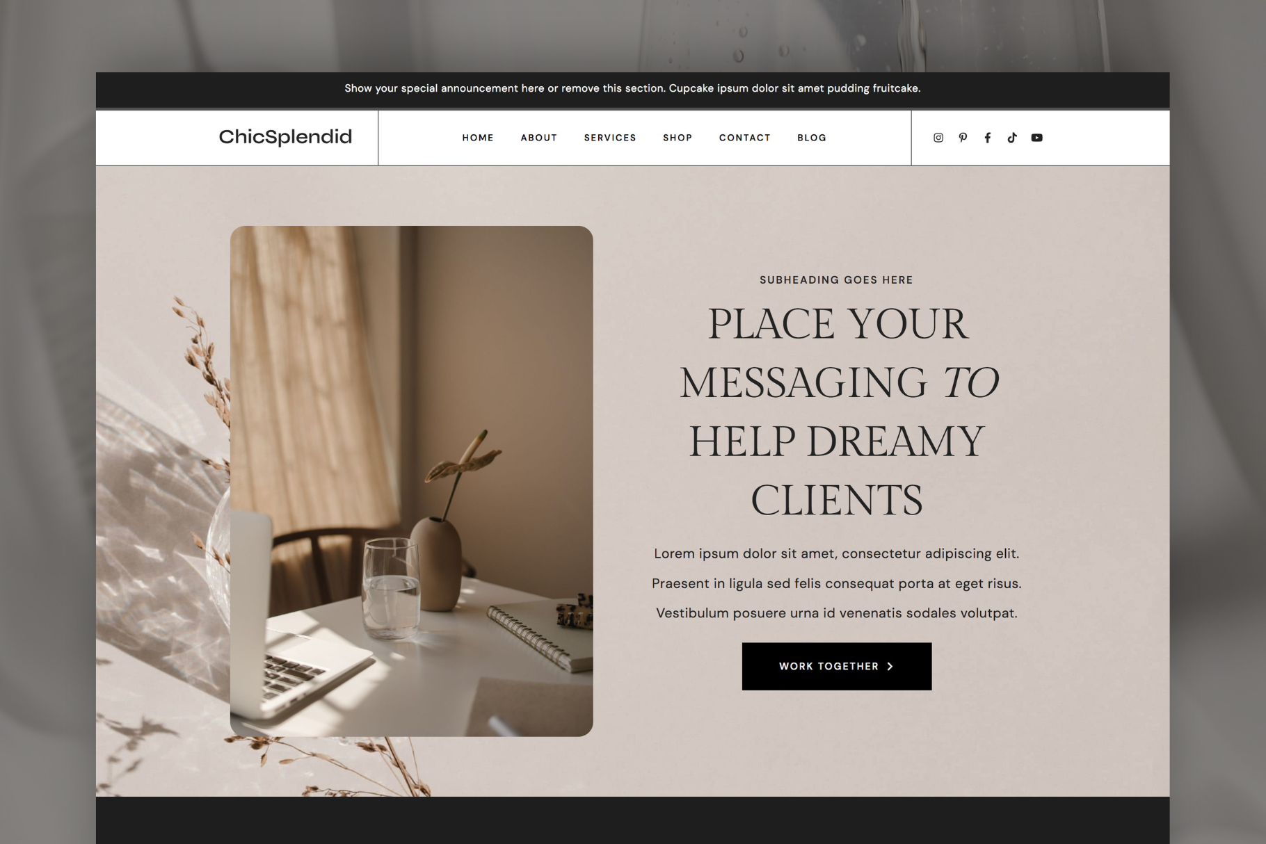 ChicSplendid Elementor WordPress Theme