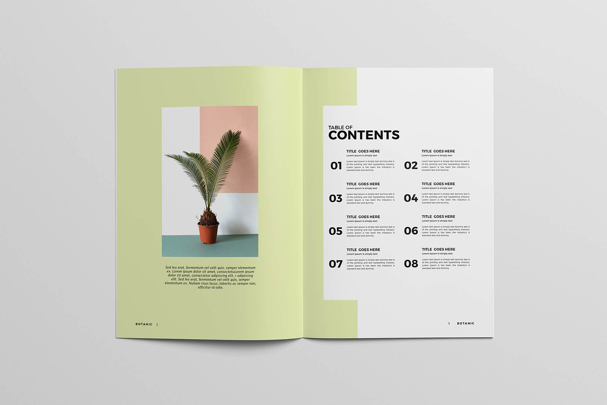 Botanic Magazine, a Magazine Template by New Lines