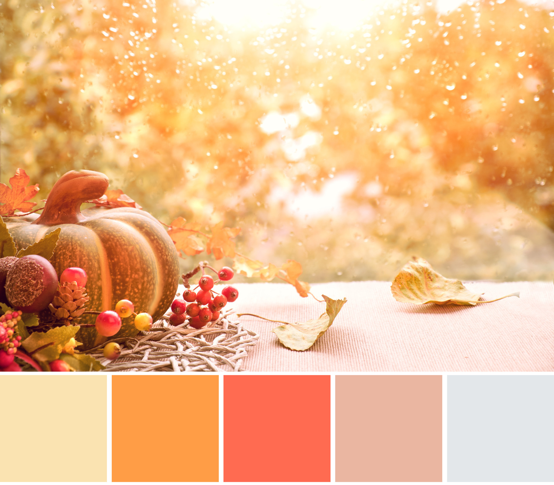 Color matching palette from top view featuring color swatch, color ...