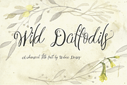 Wild Daffodils Script, a Script Font by UrbanDaisies