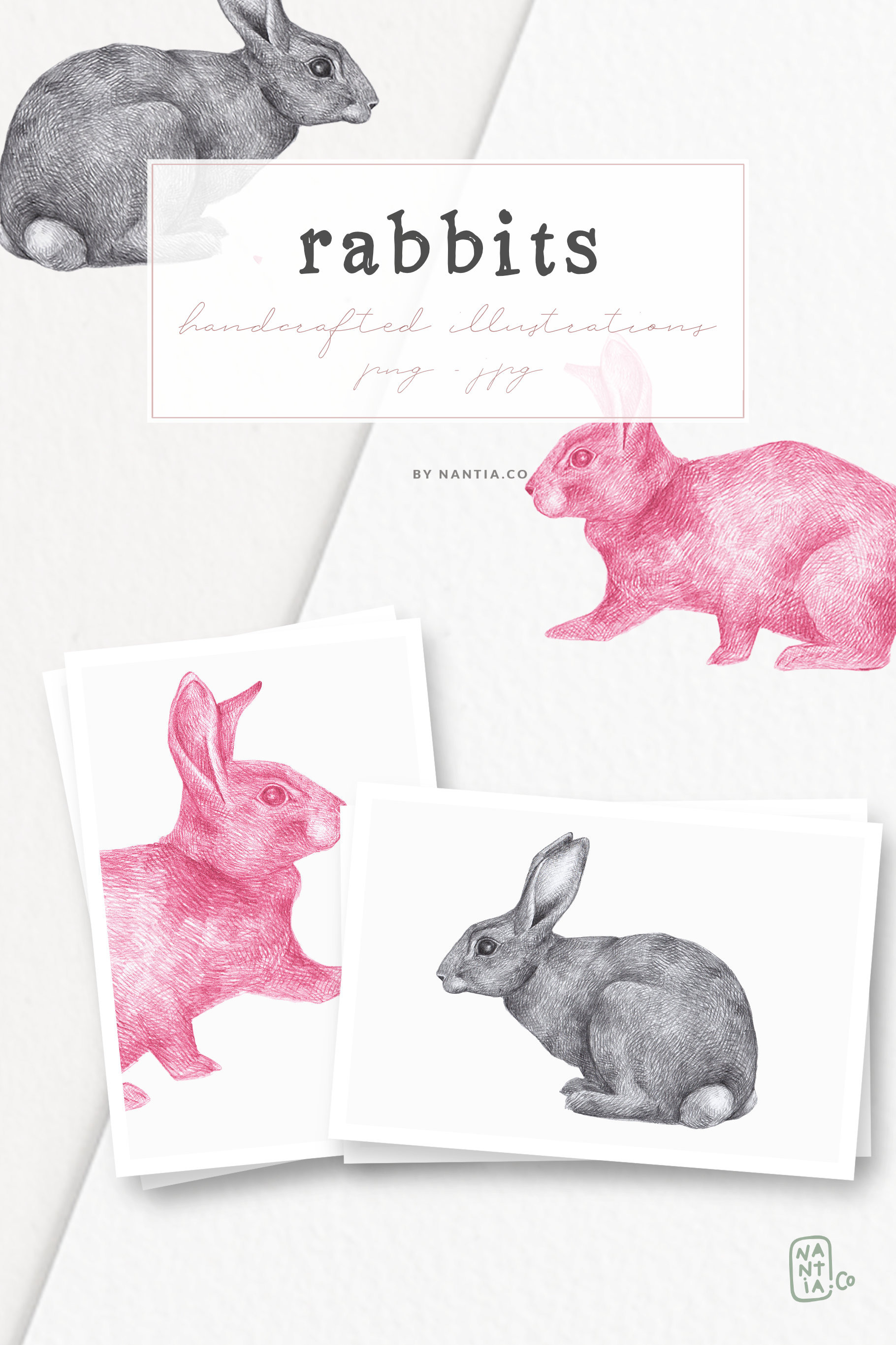 Hand drawn Rabbits Illustrations, an Animal Illustration by Greek fonts ...
