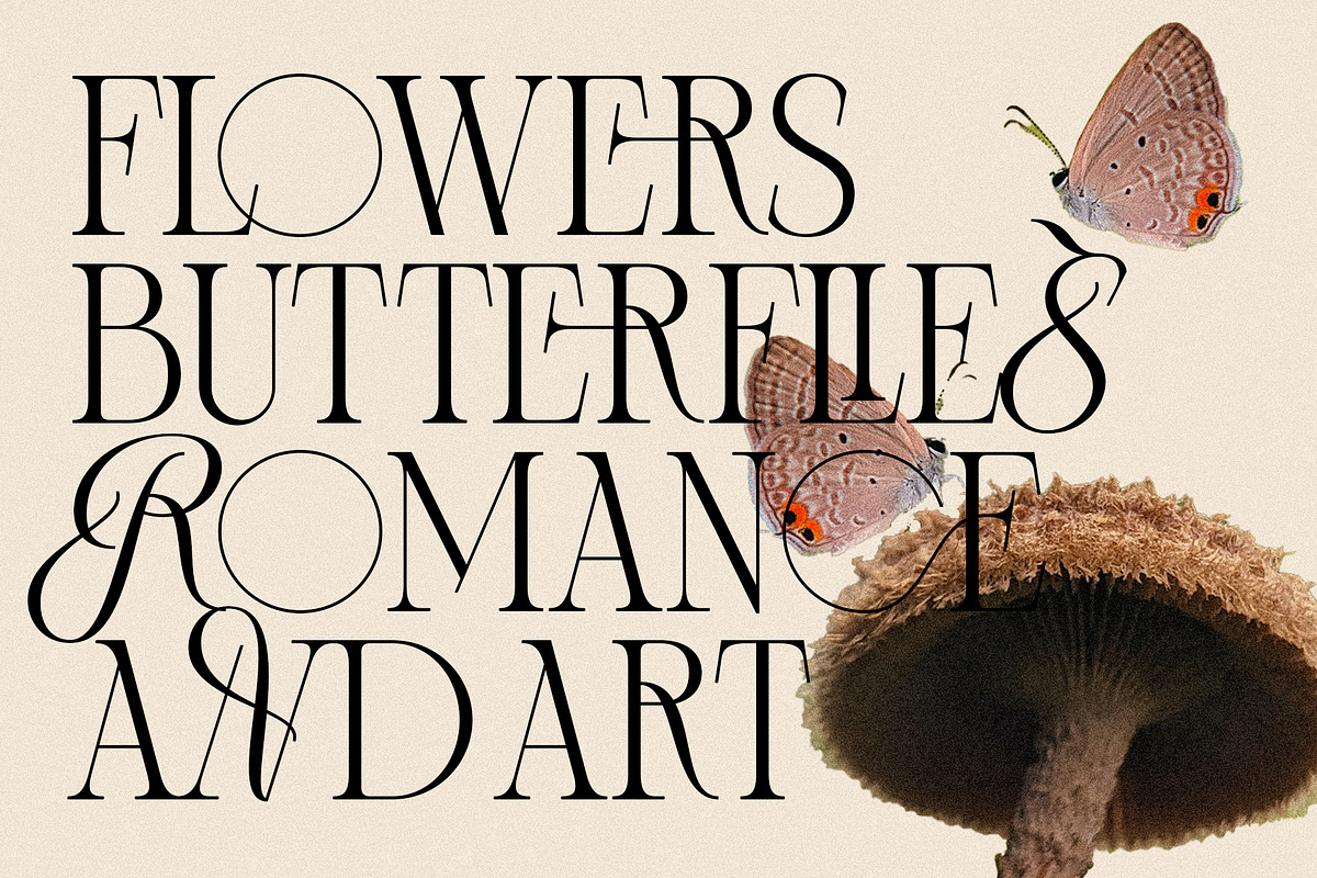 Bespoke Display - Serif & Script Duo, a Serif Font by SilverStag Type ...