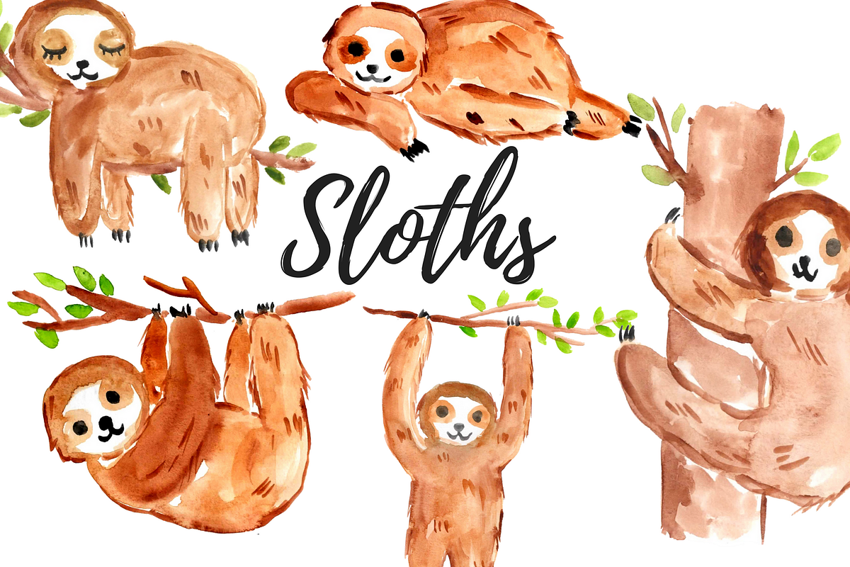 Watercolor Sloth Clipart Set, an Animal Illustration by Writelovely