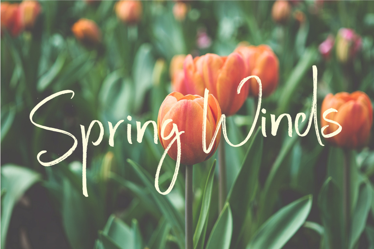 Steadfast Script, a Script Font by Mats-Peter Forss