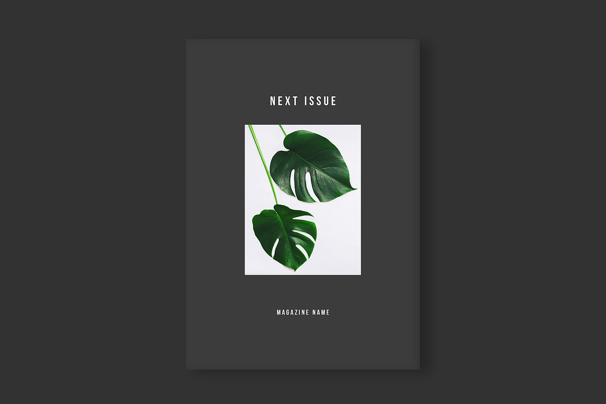 Alternative Magazine Layout, a Magazine Template by tomsarraipodesign