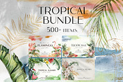 Big tropical bundle 500+ illustrations