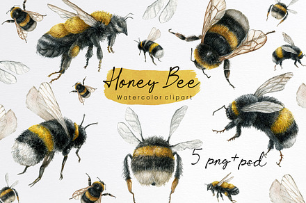 Watercolor Honey Clipart, Bees | Illustrations ~ Creative Market