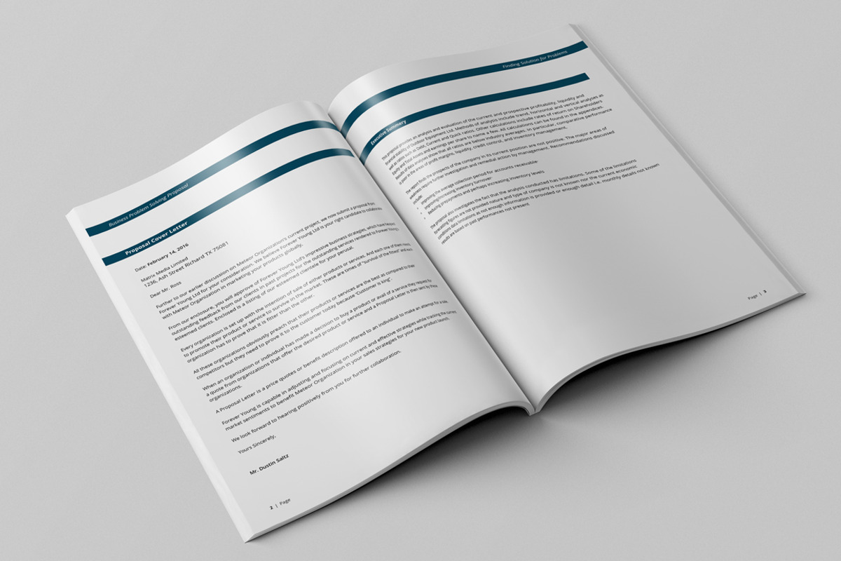 Business Problem Solving Proposal, a Stationery Template by SNIPESCIENTIST