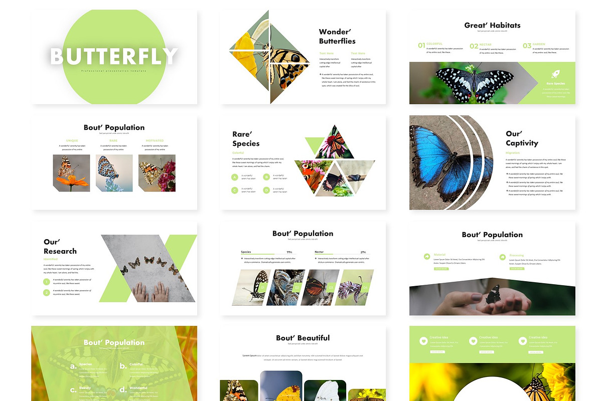Butterfly - Powerpoint Template, a Presentation Template by AQR Studio
