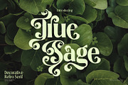 True Sage - Decorative Serif Family, a Font by creativemedialab ...