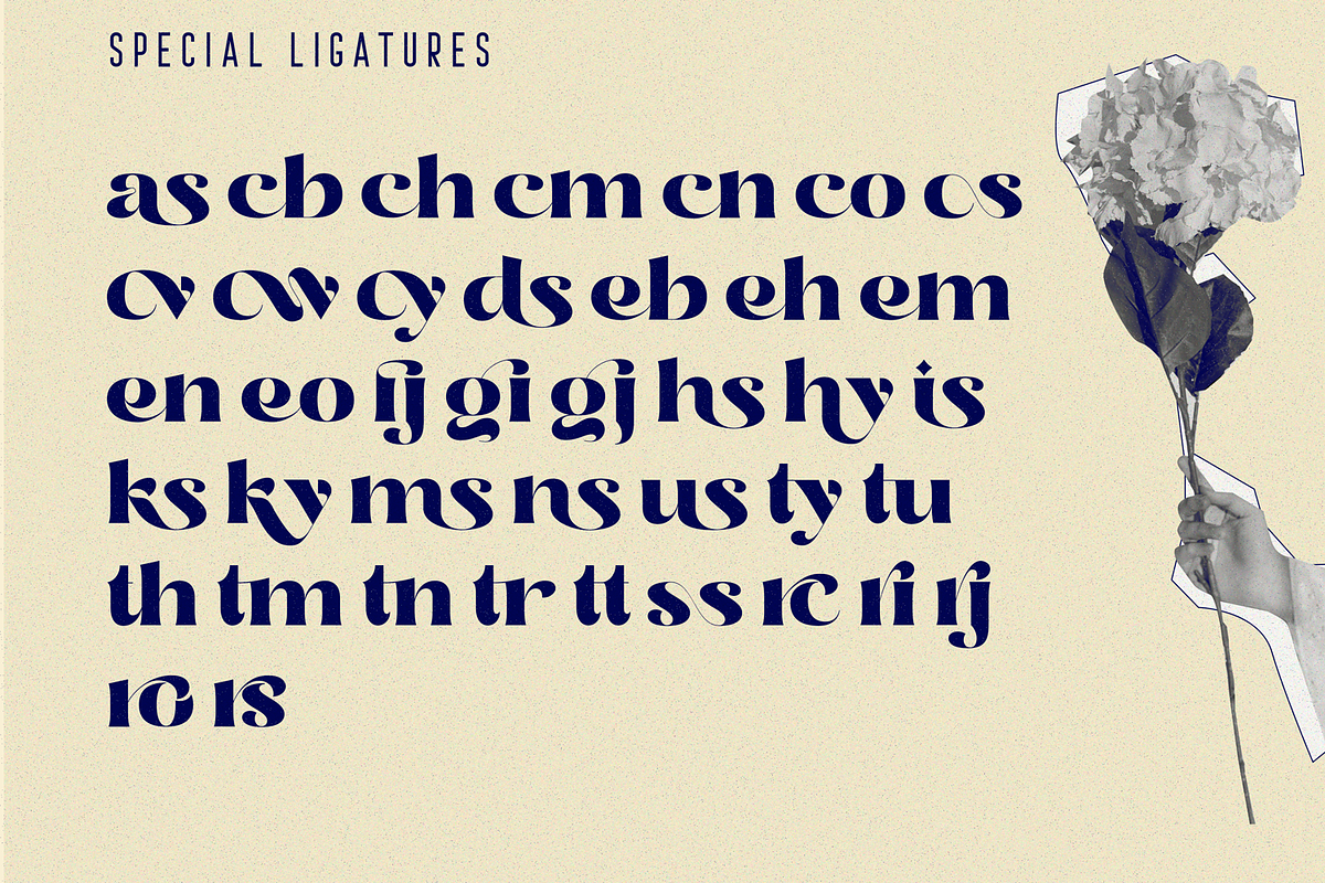 Trophy - Stylish Serif Font, a Serif Font by 177Studio