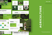 Agriculture - Google Slides Template, a Presentation Template by AQR Studio