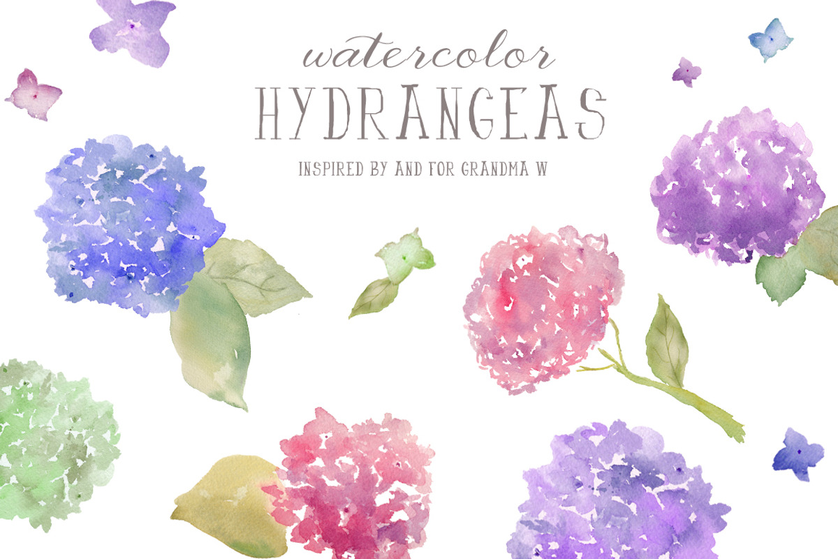 Watercolor Clip Art- Hydrangeas, an Illustration by Angie Makes