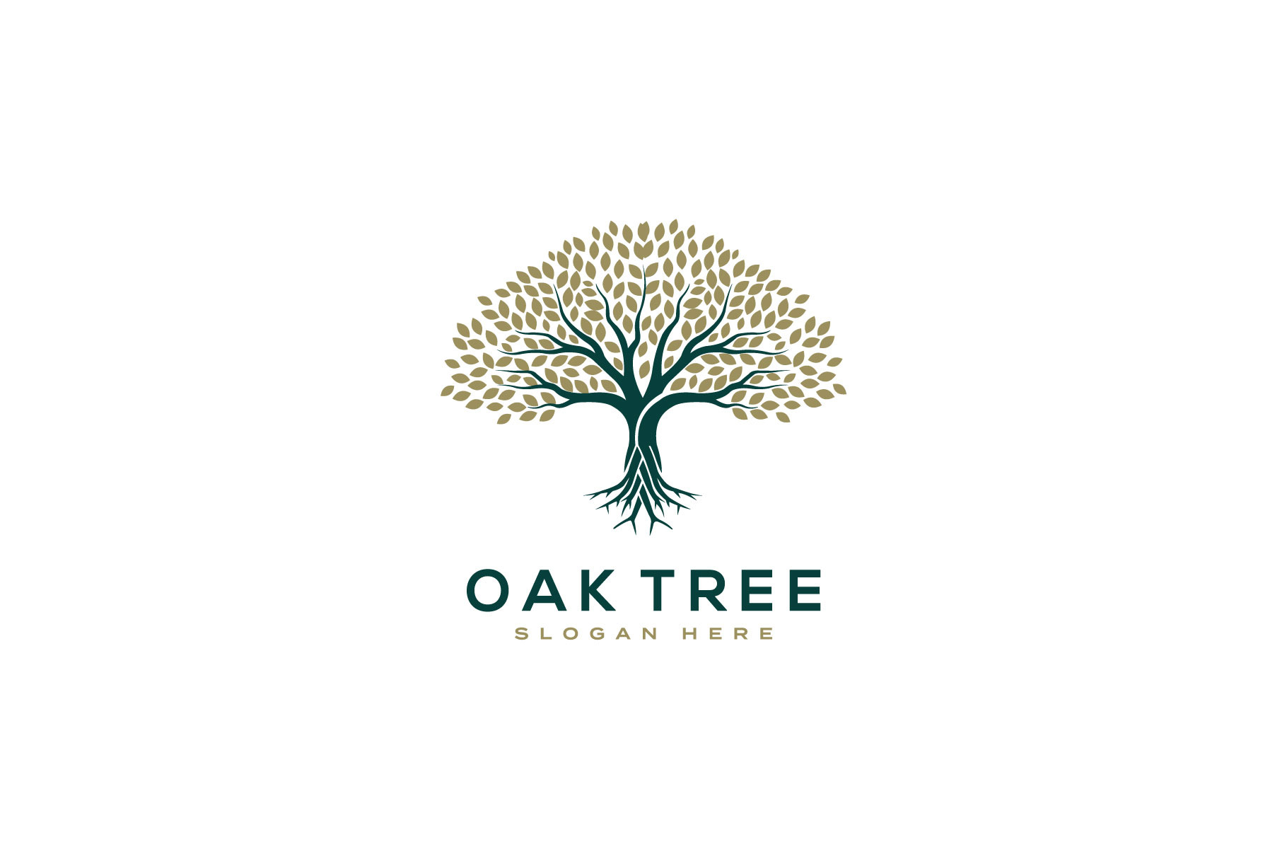oak tree logo and roots design, a Branding & Logo Template by quadrazo