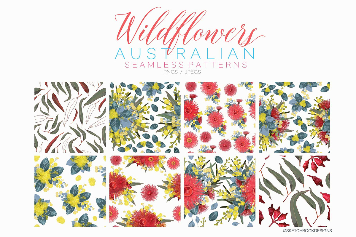 Wildflowers Australian Design Set, an Illustration by Sketchbook Designs