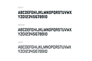 Liberator Family, a Sans Serif Font by Ryan vs. Clark
