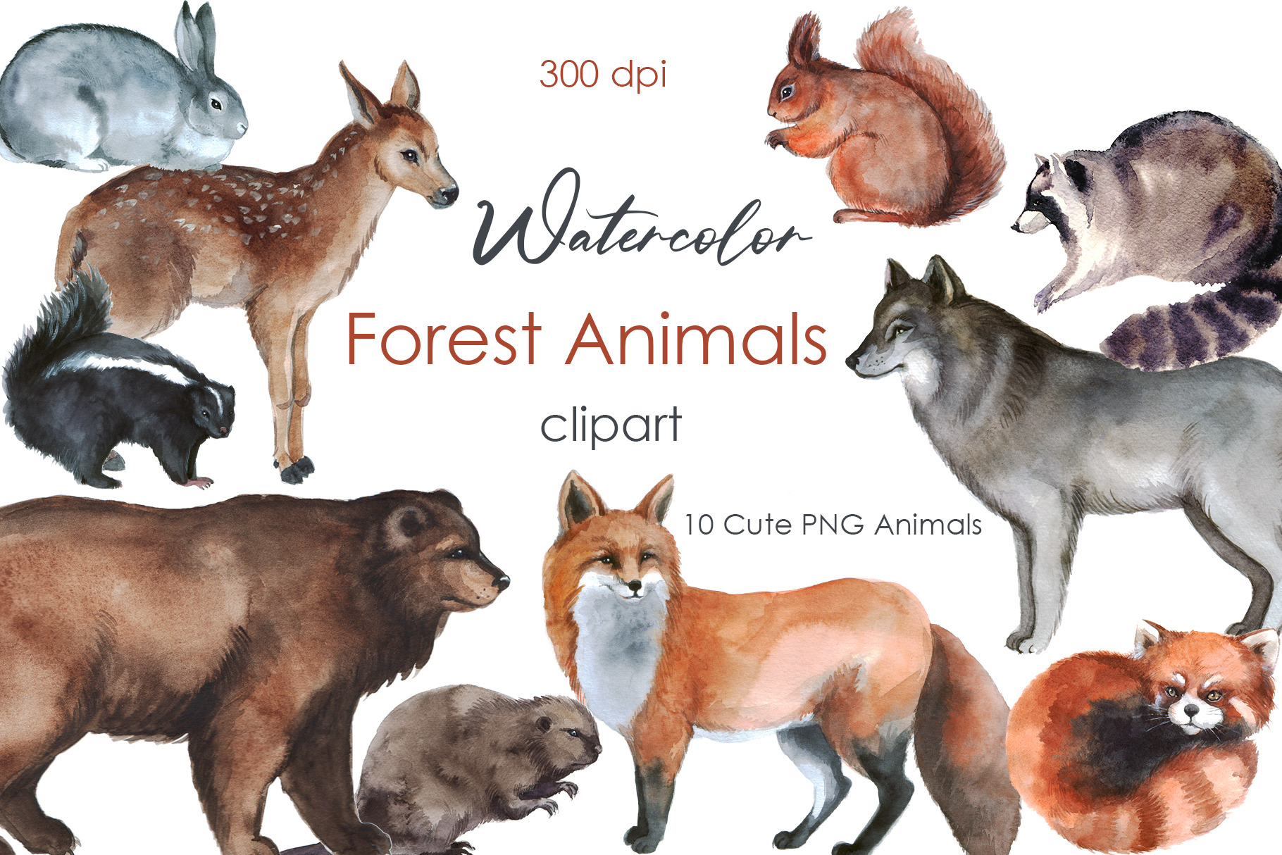 Watercolor Forest animals clipart, an Animal Illustration by ...