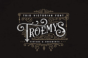 Troemys Font Trio Font, a Script Font by Personalized1926