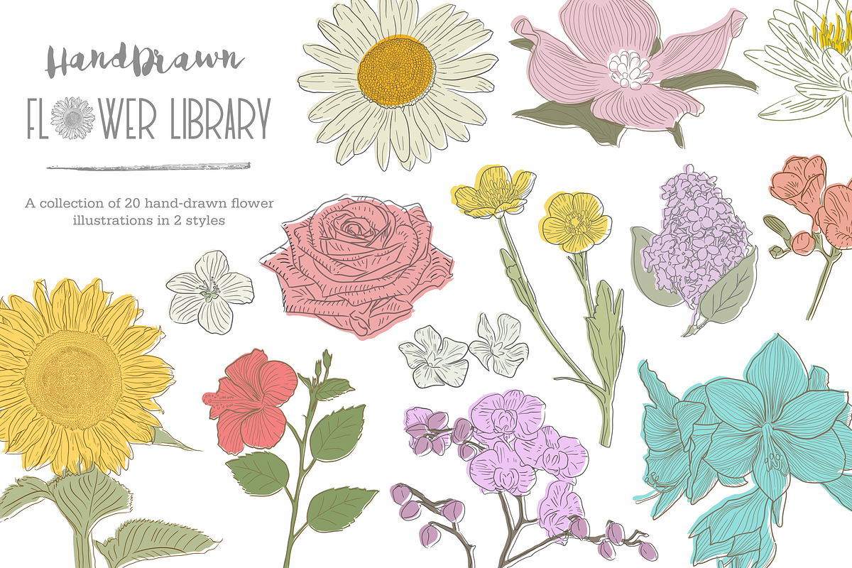 HandDrawn Flower Library, an Illustration by Linseed Studio
