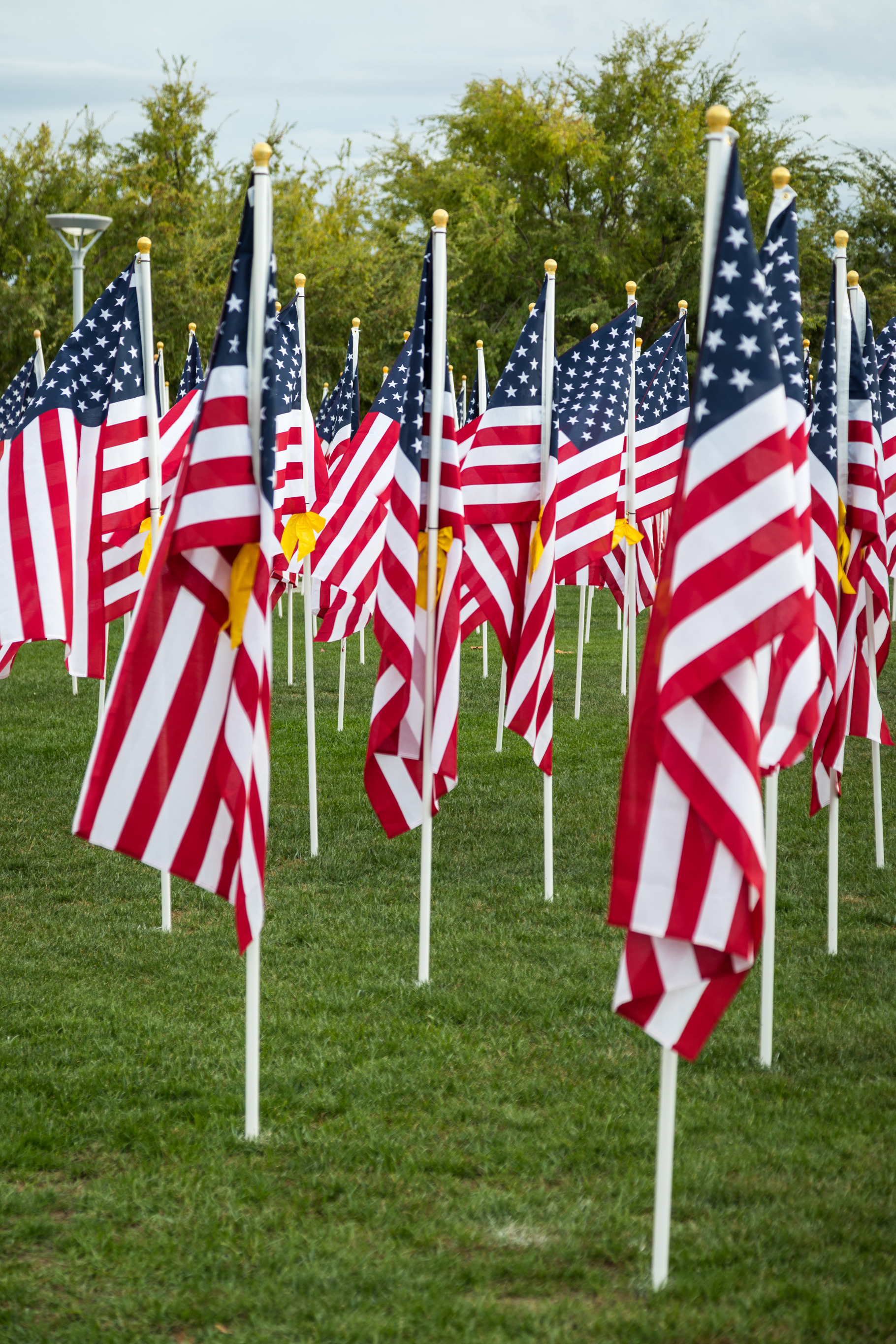 Majestic display of american flags featuring majestic, display, and ...