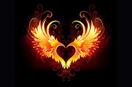 With Fire and Sword | Illustrations ~ Creative Market