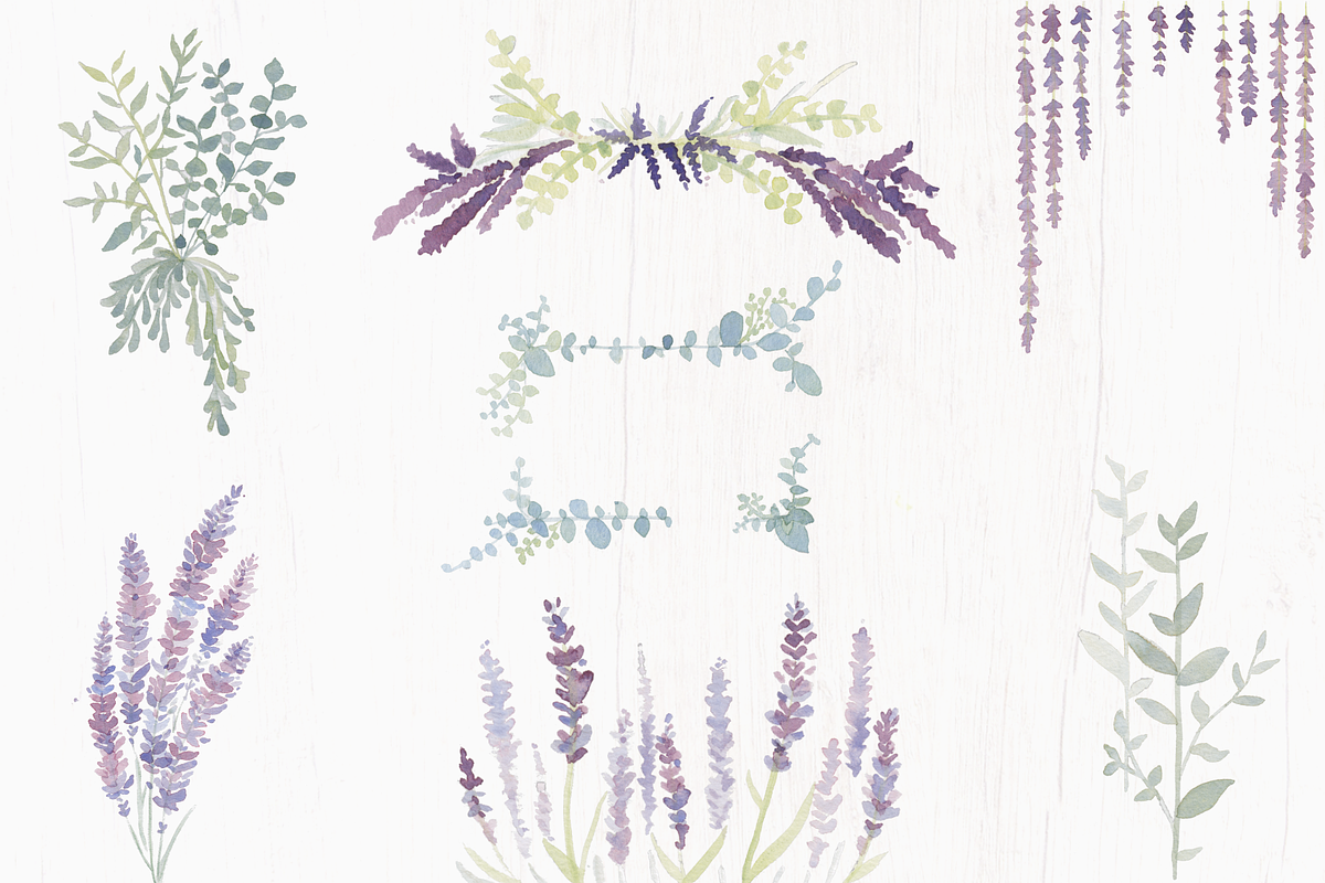 Lavender Farm Graphic Set - Clip Art, an Illustration by DESIGN SPLY