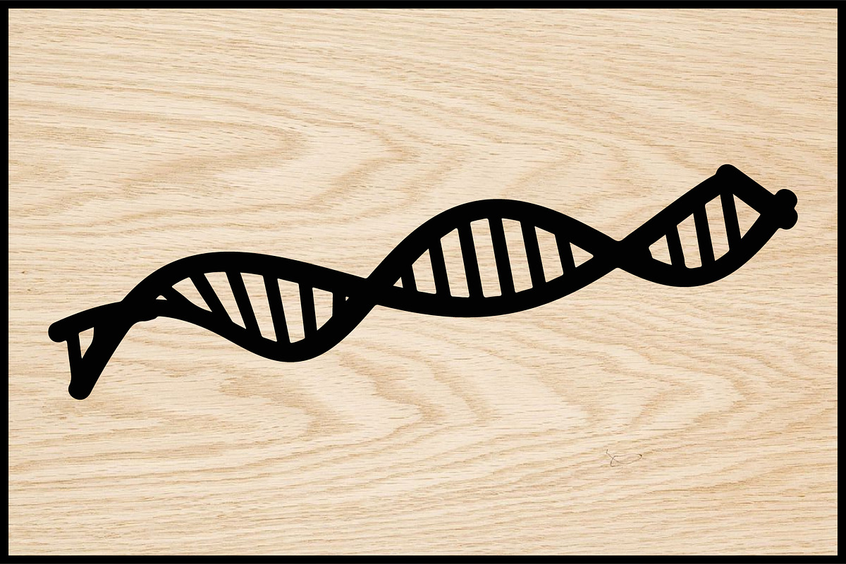 Genetic Structure Vector Bundle, an Illustration by yasushie