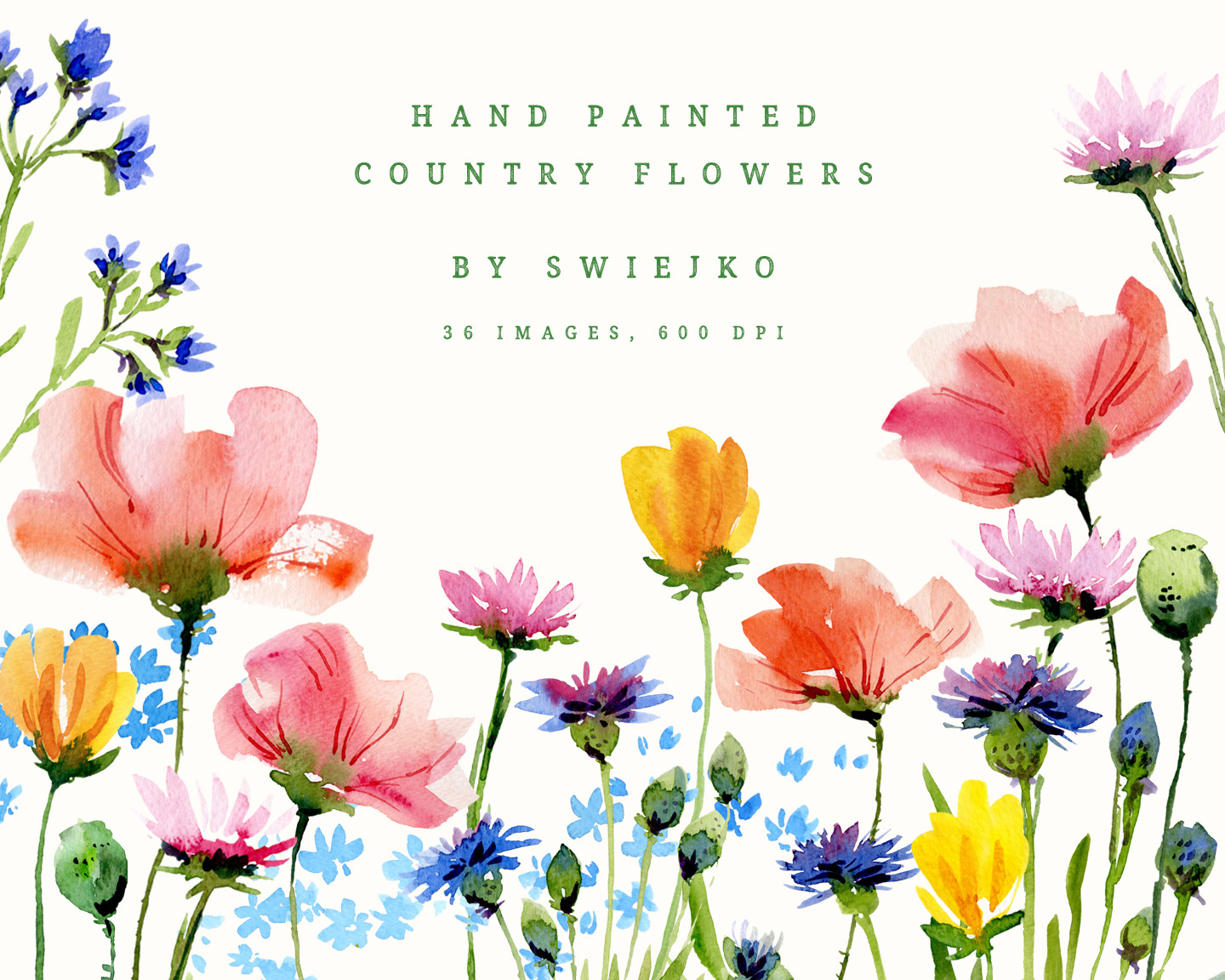 Hand painted country flowers, an Illustration by swiejko