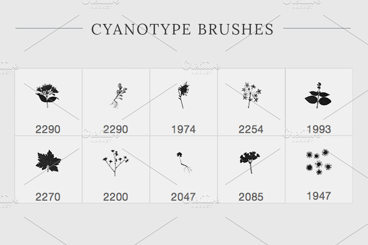Flower Photoshop brushes, a Brush Add-On by Little Bean
