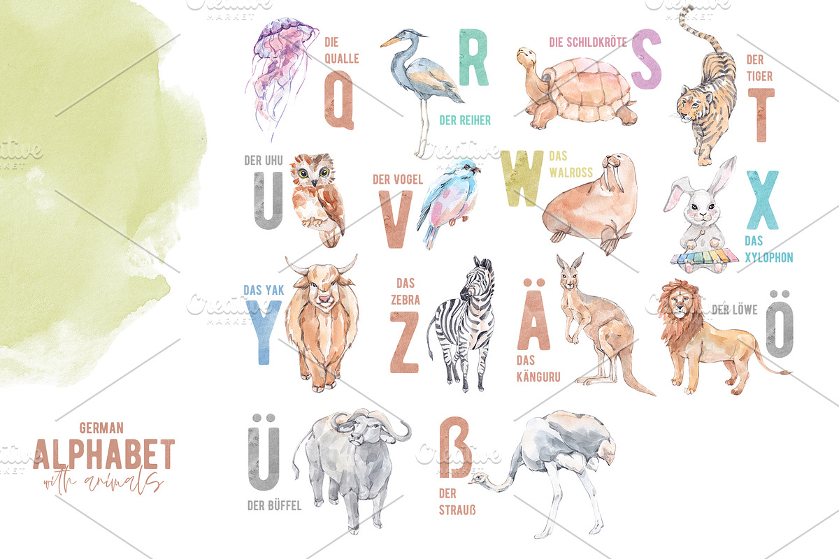 German Alphabet with Animals, an Animal Illustration by VerAna