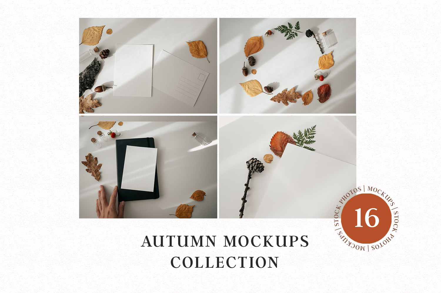 Autumn mockups | Cards | Fall leaves, a Books & Magazine Mockup by Kate ...