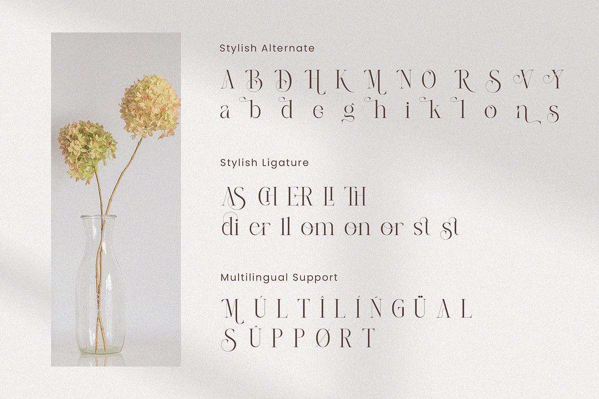 Saignh Serif Font, a Serif Font by Idea Studio