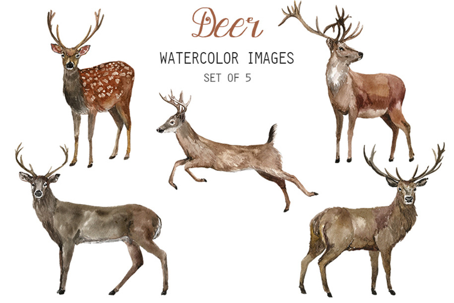 Watercolor Deer Clipart, an Animal Illustration by YesFoxy