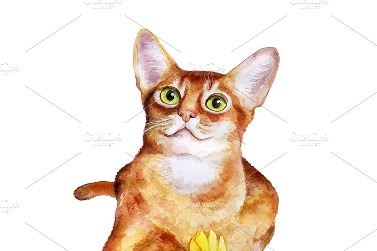 Watercolor Animals Set - CATS Vol. 2, an Animal Illustration by ...