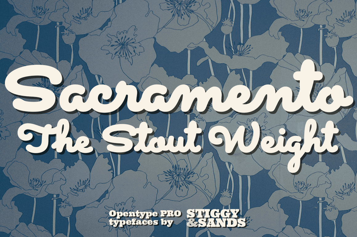 Sacramento Pro Stout, a Script Font by Stiggy & Sands