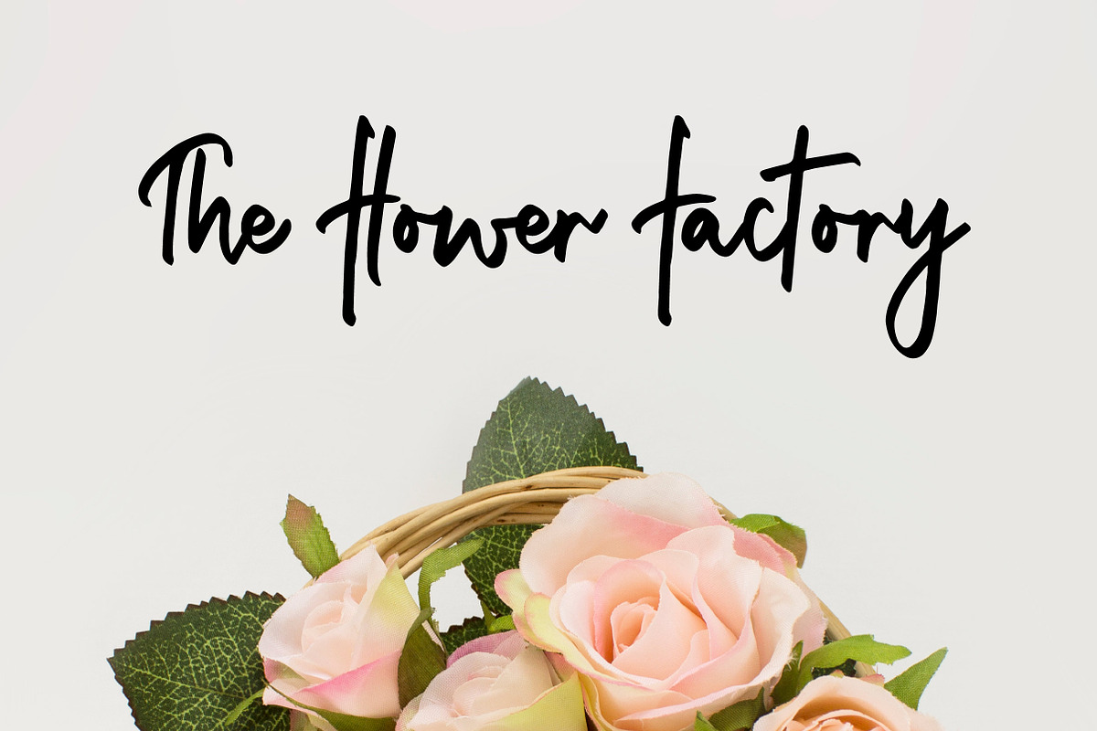 Cuddle and Kind Font Duo + Logos, a Script Font by theinkaffair