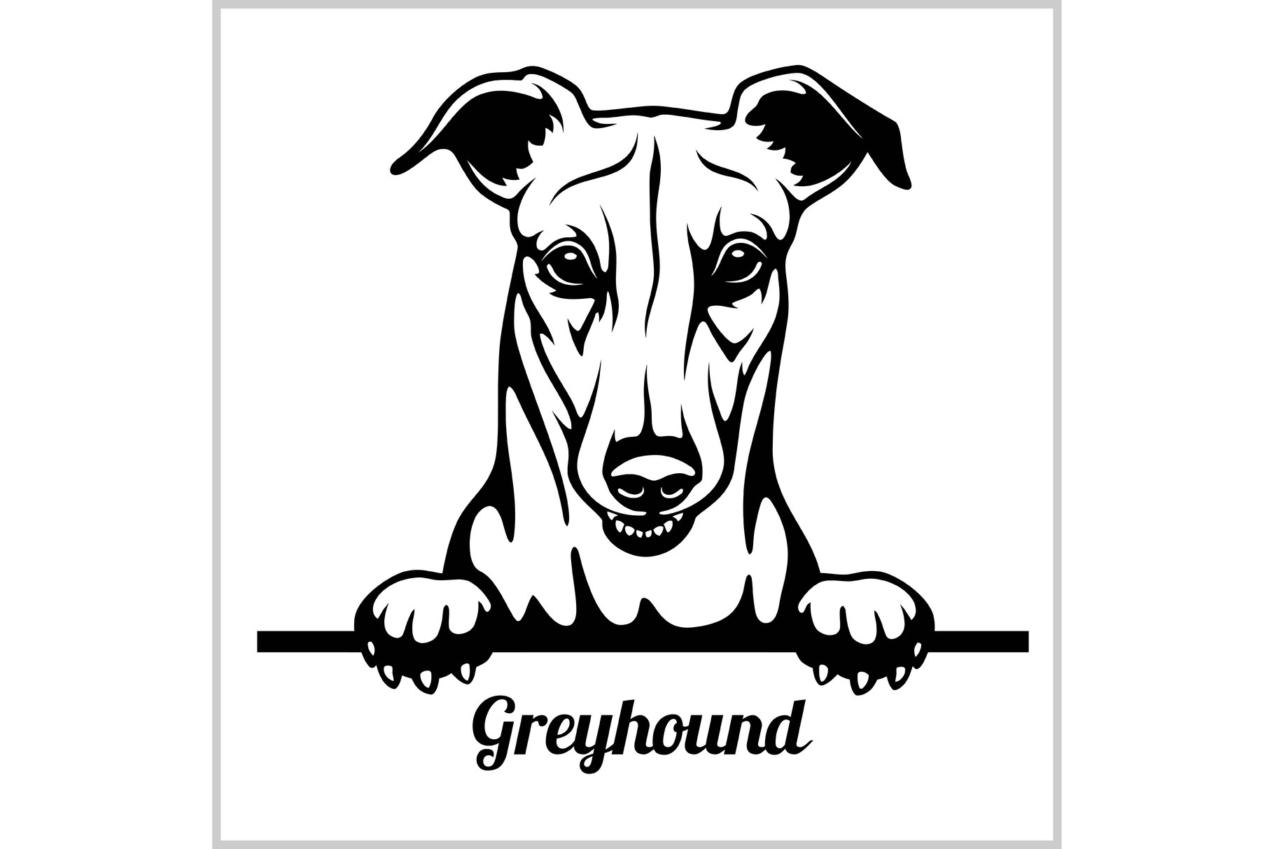 Greyhound - Peeking Dogs - breed, an Animal Illustration by Digital-Clipart