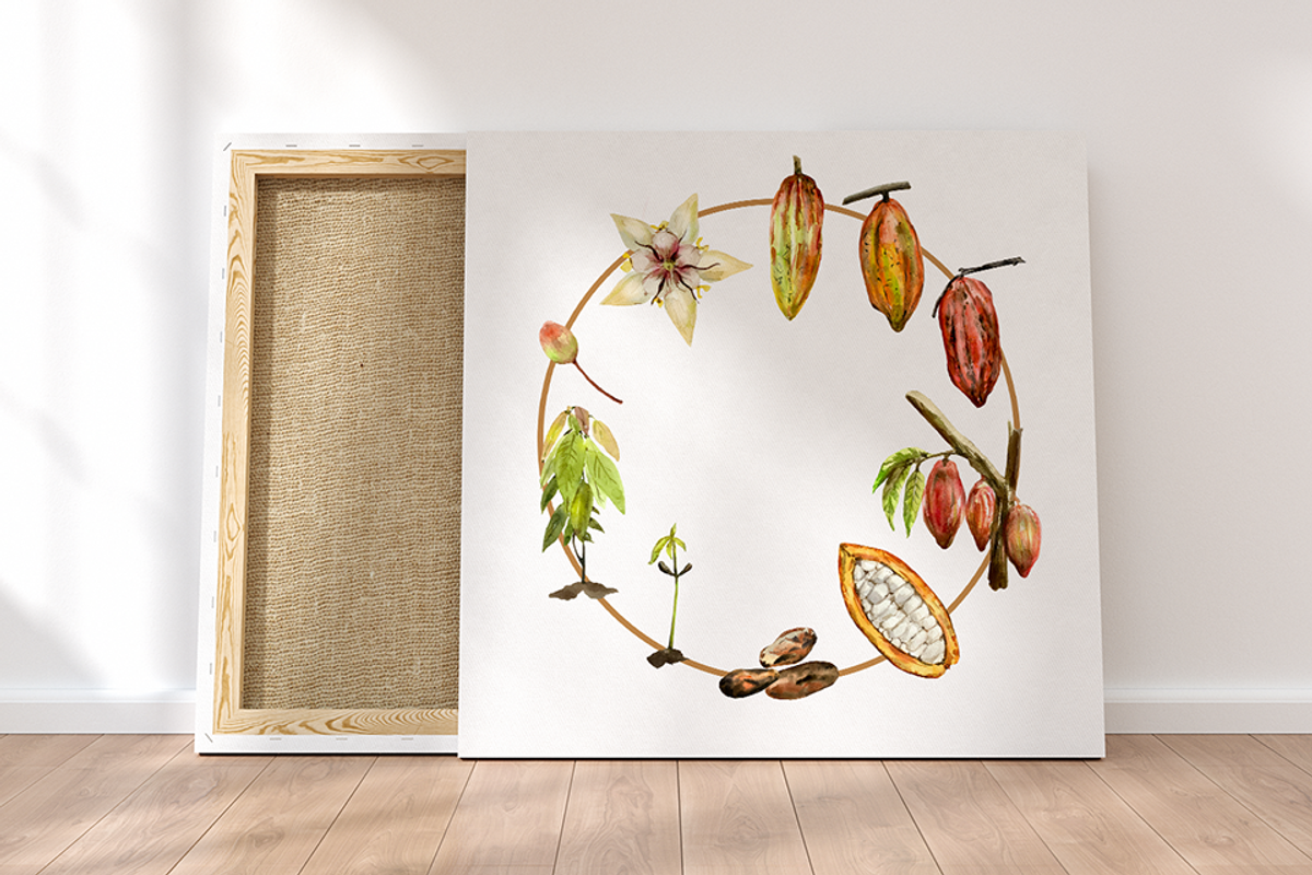 Cocoa Life Cycle and Clip arts, an Education Illustration by Tati Bordiu