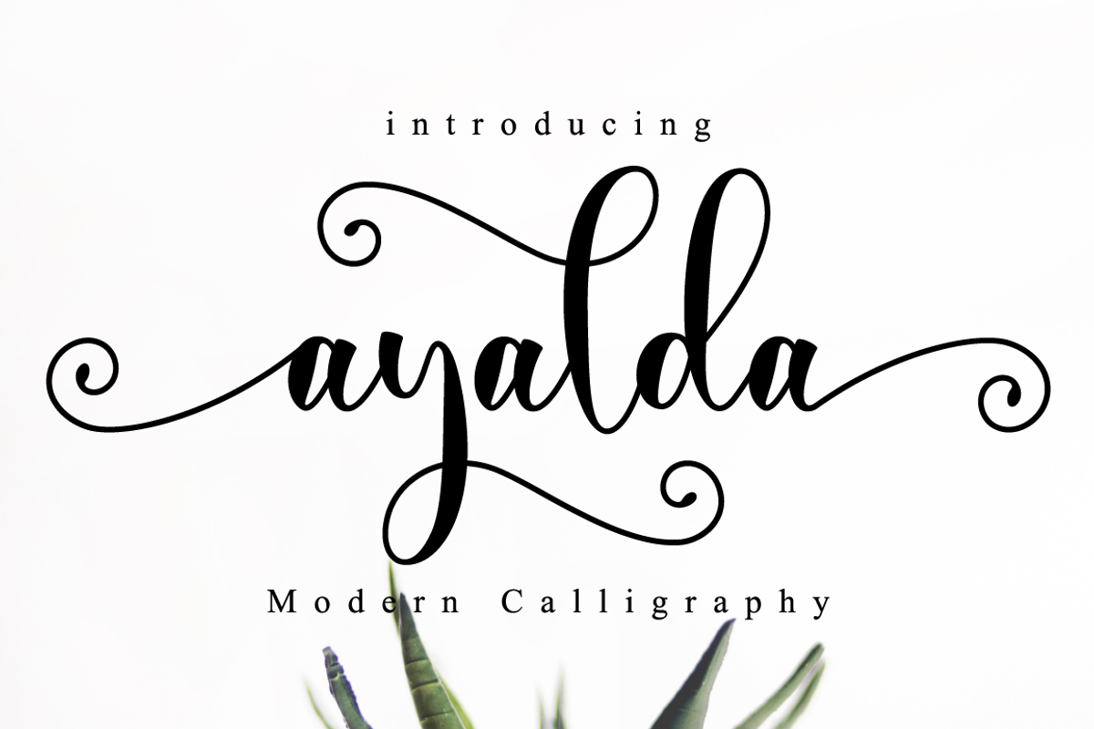 Ayalda Script, a Script Font by Nissa Studio | Creative Market