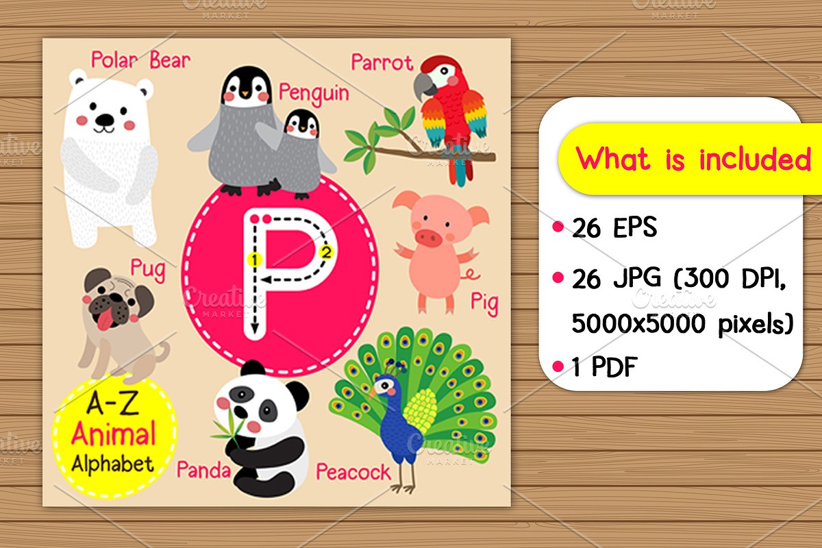 ABC animal vocabulary flashcards, an Animal Illustration by Natchapohn ...