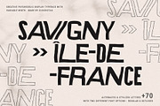 SAVIGNY - Psychedelic Display Font, a Sans Serif Font by SilverStag ...