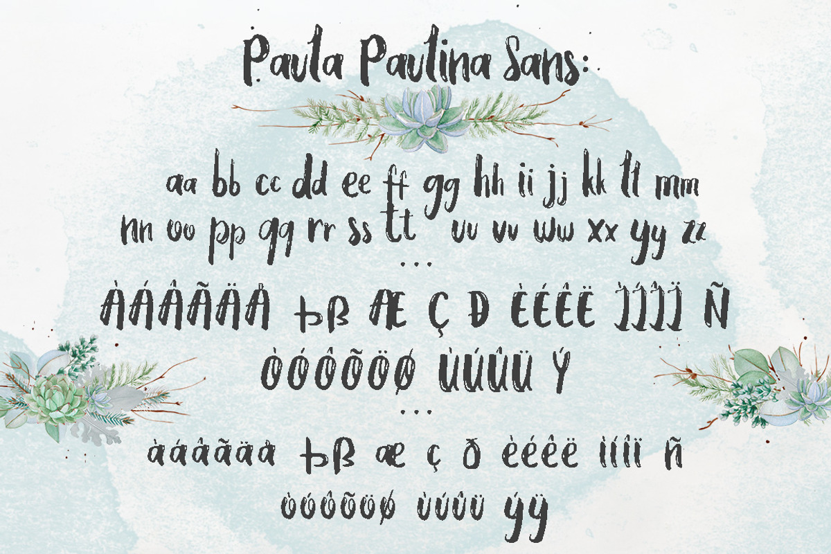 Paula Paulina Script, a Script Font by BlueRobinDesignShop