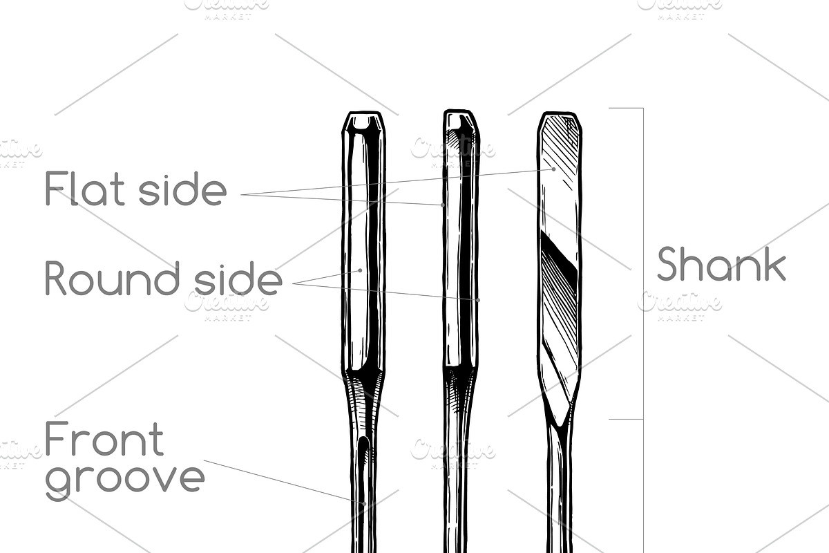 Parts of sewing machine needle, an Illustration by CatMadePattern